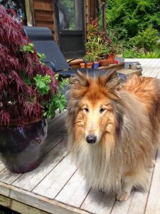 Molly Rose Pedersen – Kirie Pedersen